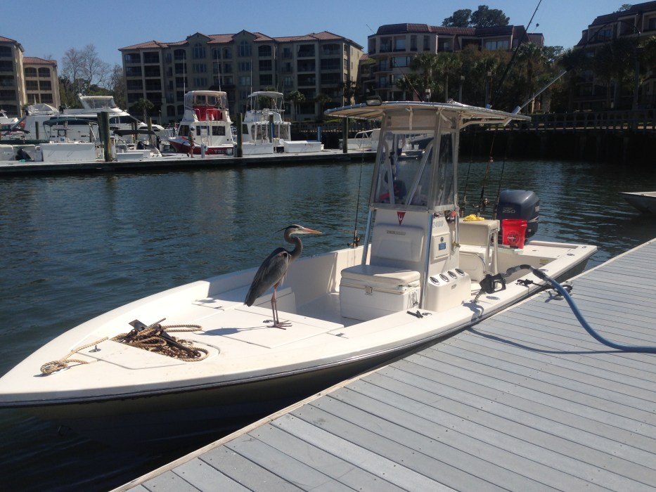 About Hilton Head Island Fishing | Bay Runner Charters
